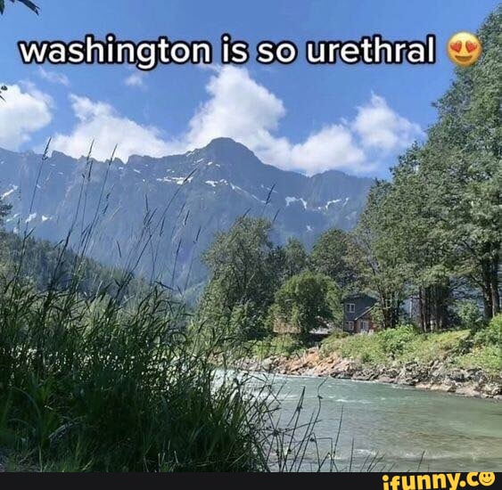 Urethral memes. Best Collection of funny Urethral pictures on iFunny