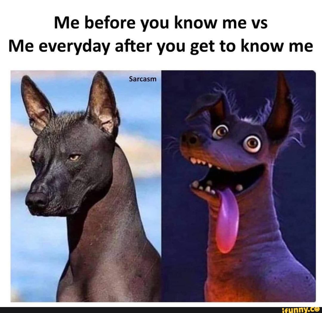 Me before you know me vs Me everyday after you get to know me Sarcasm ...