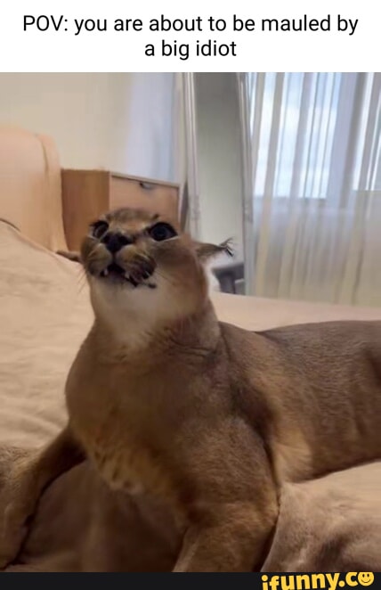 A Notifications I Your CPU temperature has excee: 8125°C Prolonged use ...