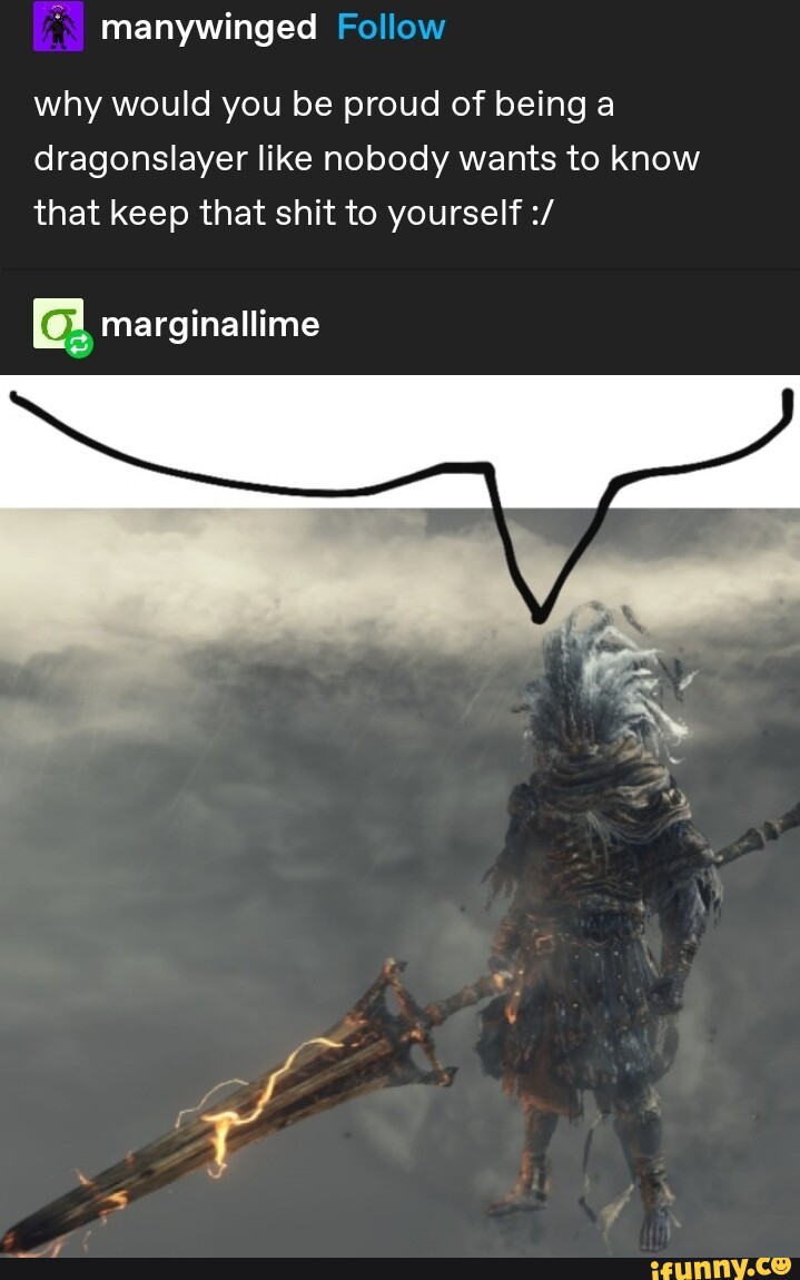 Dragonslayer memes. Best Collection of funny Dragonslayer pictures on ...