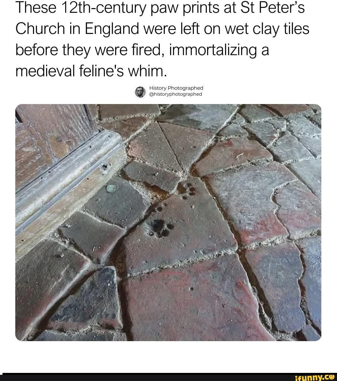 These 12th-century paw prints at St Peter's Church in England were left ...