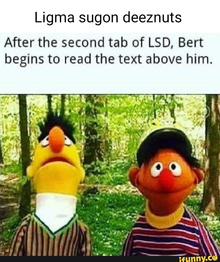 Sugon memes. Best Collection of funny Sugon pictures on iFunny