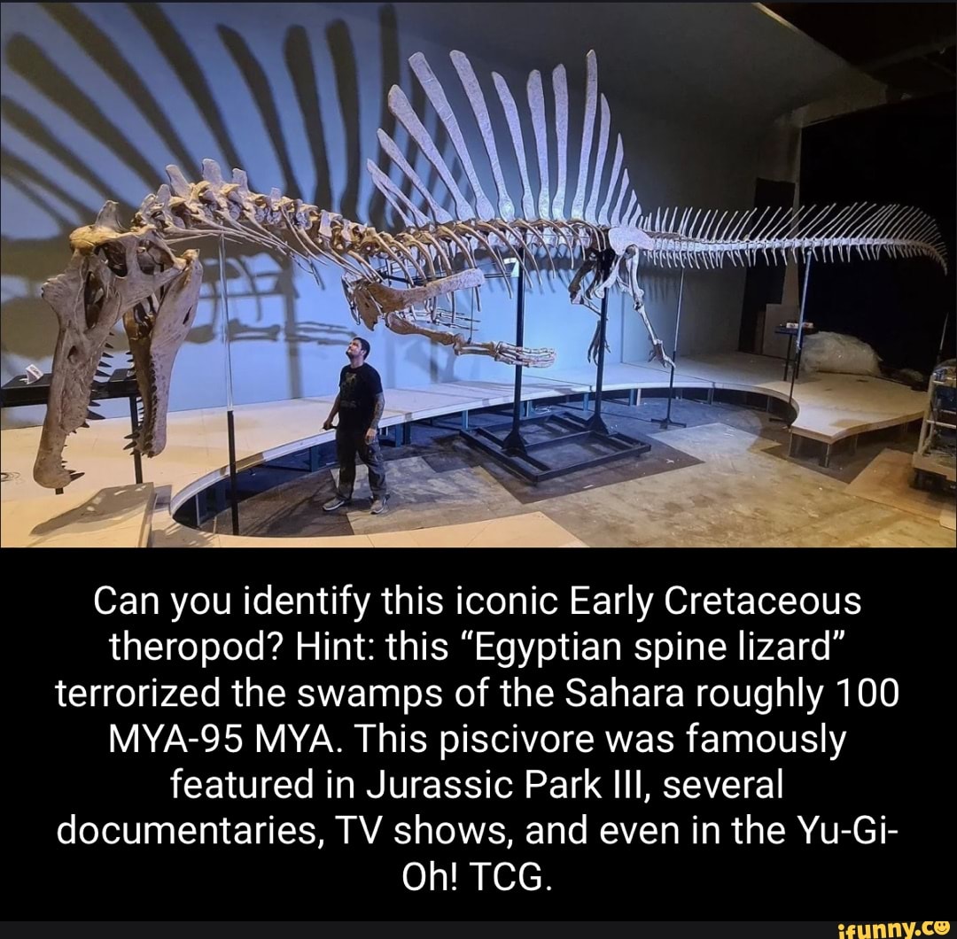 Can you identify this iconic Early Cretaceous theropod? Hint: this ...
