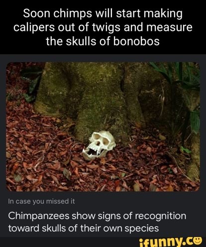 Calipers memes. Best Collection of funny Calipers pictures on iFunny