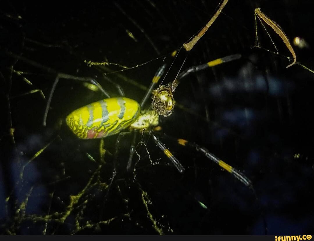 Invasive_species memes. Best Collection of funny Invasive_species ...