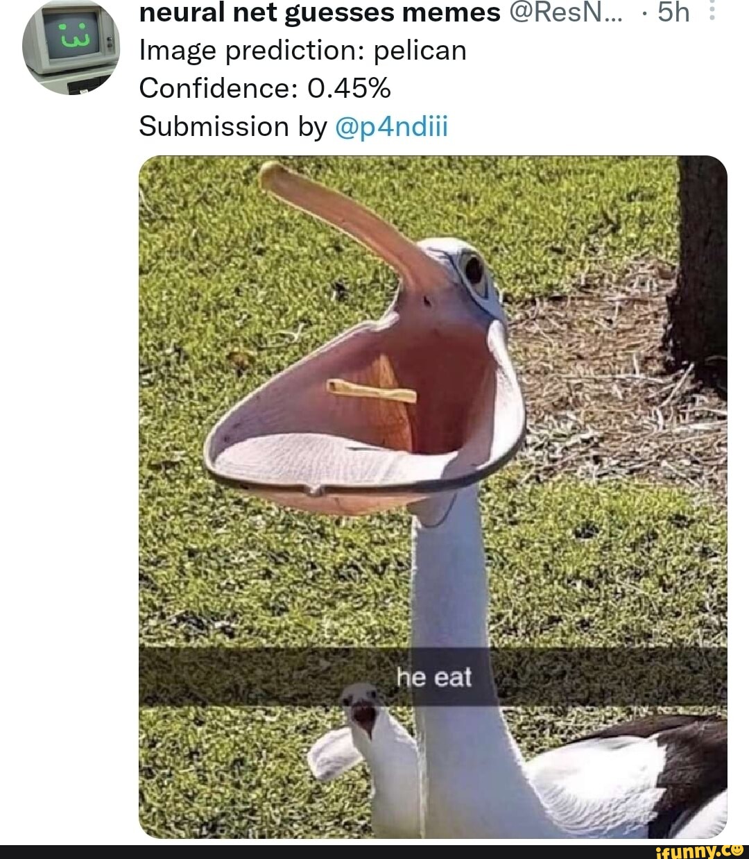 Neural net guesses memes SA Image prediction: pelican Confidence: 0.45% ...