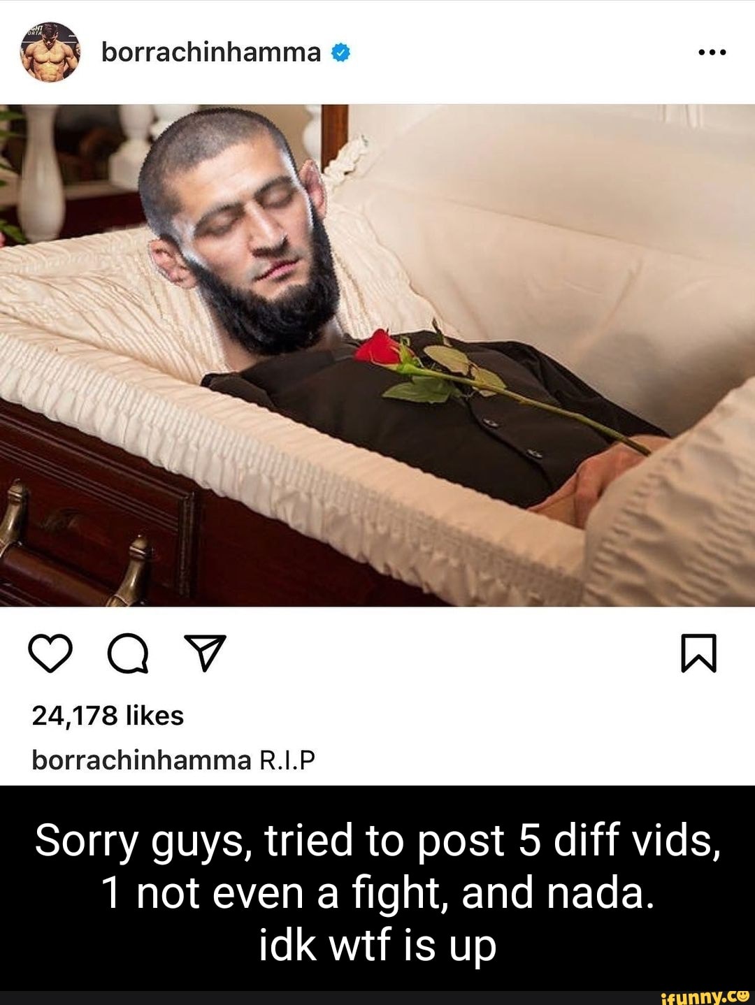 Chimaev memes. Best Collection of funny Chimaev pictures on iFunny