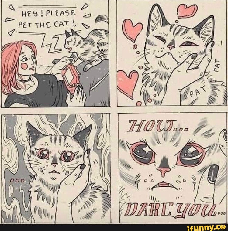 HEY I PLEASE NS PeT THE CAT - iFunny