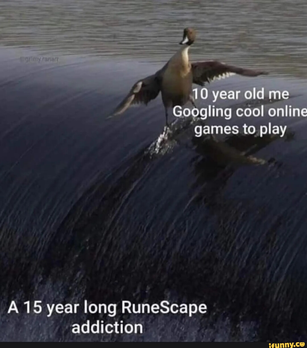 Rs3 memes. Best Collection of funny Rs3 pictures on iFunny