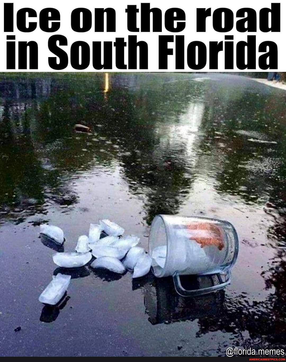 Please drive safe… - - - - - - - - -… #memes #florida #miami #orlando # ...