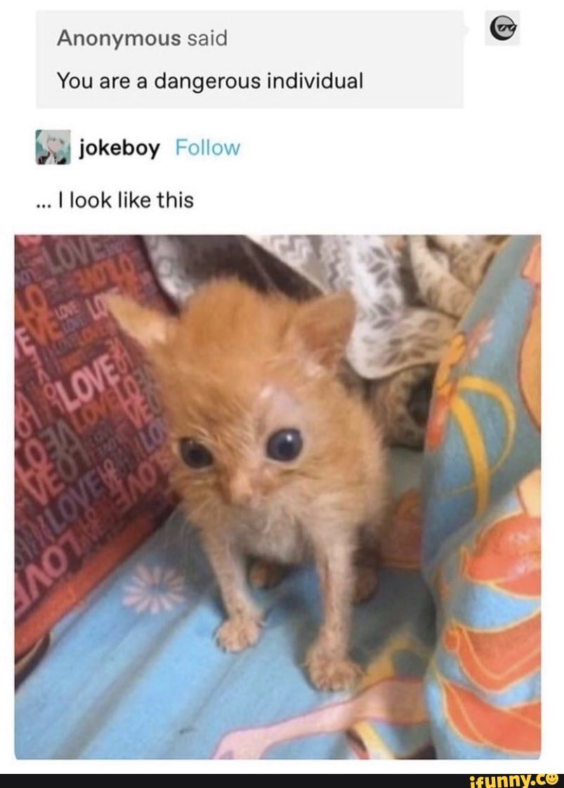 Jokeboy memes. Best Collection of funny Jokeboy pictures on iFunny