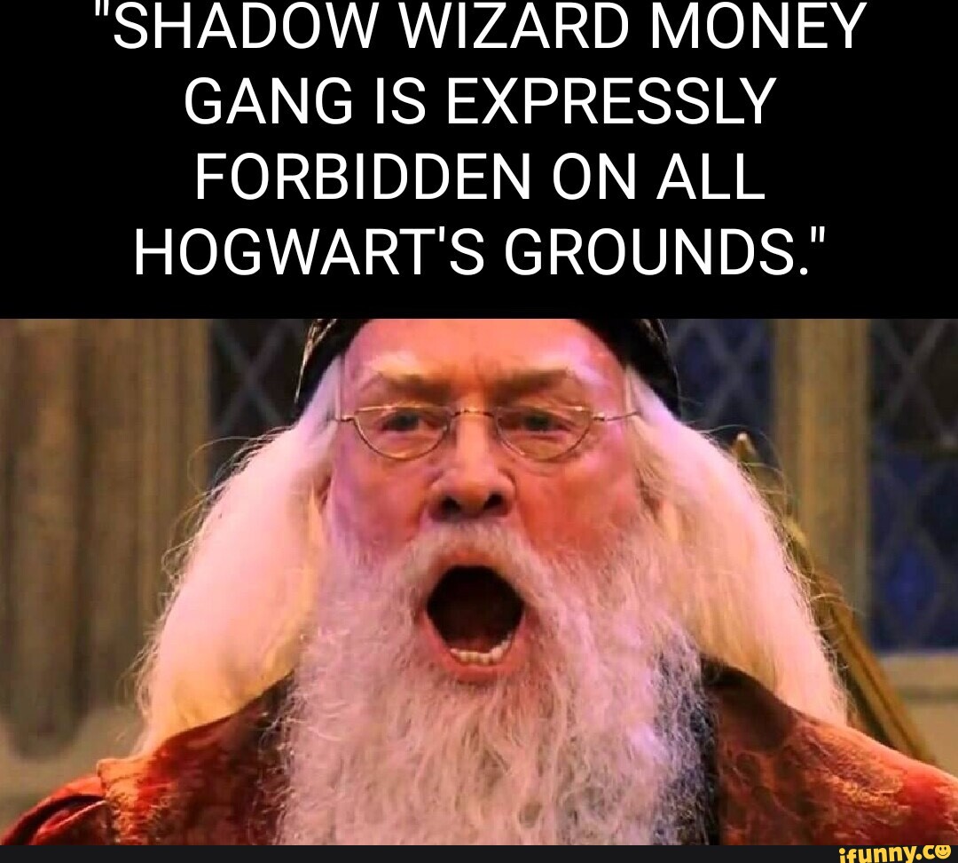 "SHADOW WIZARD MONEY GANG IS EXPRESSLY FORBIDDEN ON ALL HOGWARTS ...