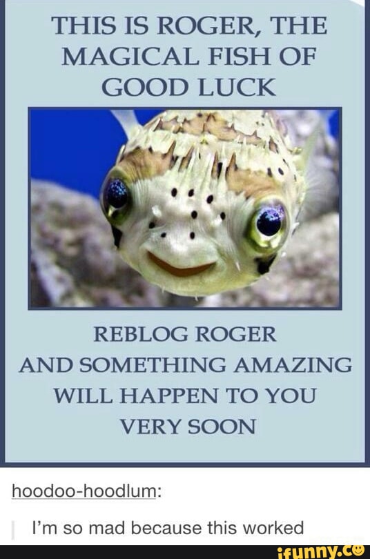 THIS IS ROGER, THE MAGICAL FISH OF GOOD LUCK REBLOG ROGER AND SOMETHING ...