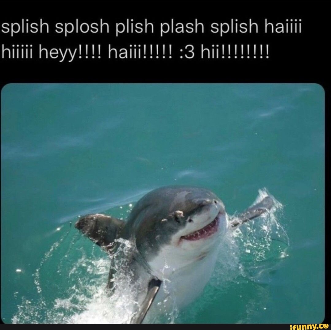 Splosh memes. Best Collection of funny Splosh pictures on iFunny