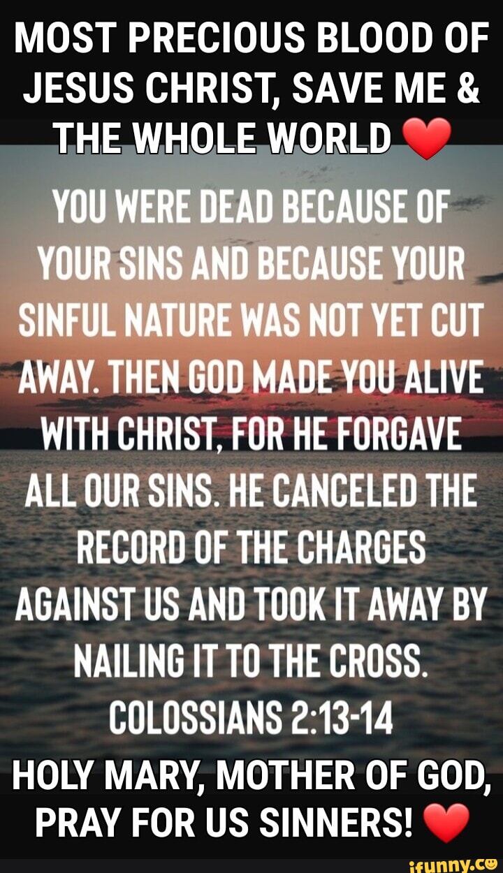MOST PRECIOUS BLOOD OF JESUS CHRIST, SAVE ME & THE WHOLE WORLD YOU WERE ...