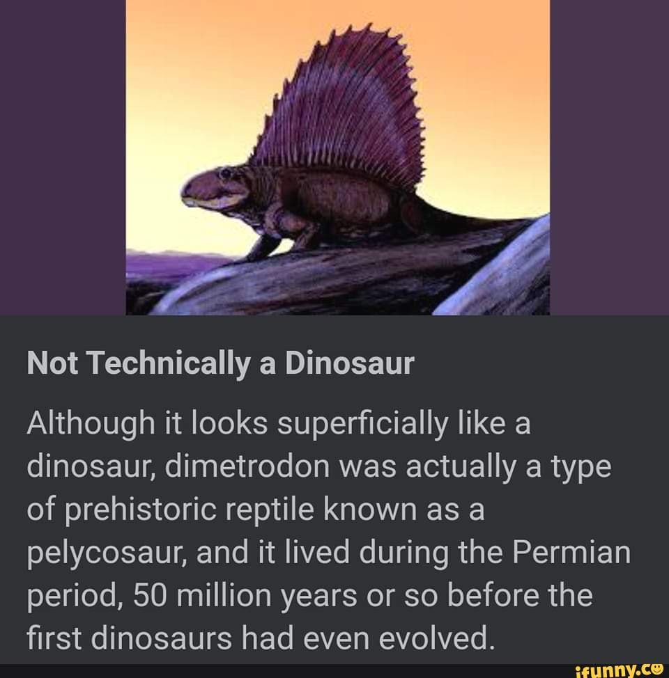Pelycosaur memes. Best Collection of funny Pelycosaur pictures on iFunny
