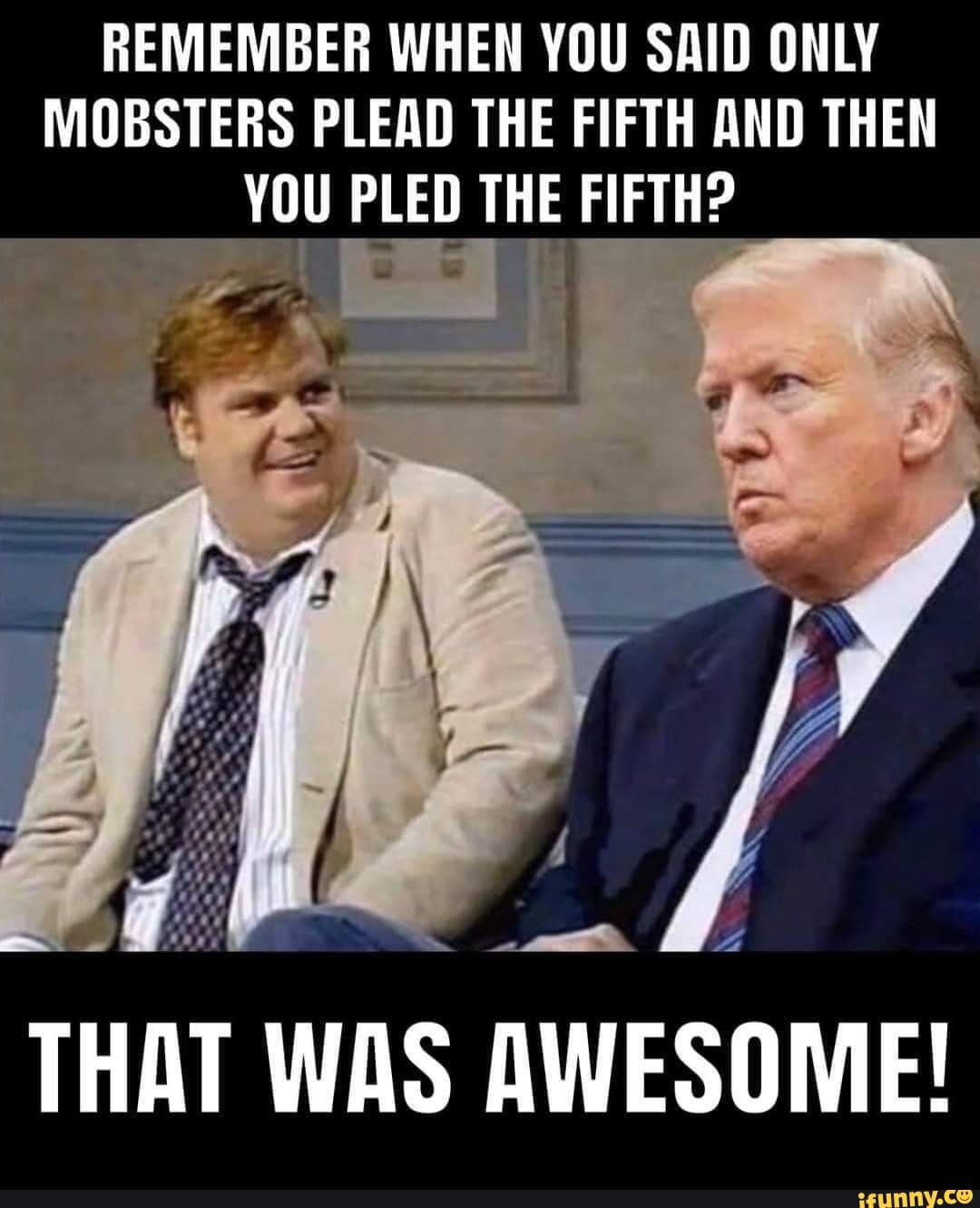 REMEMBER WHEN YOU SAID ONLY MOBSTERS PLEAD THE FIFTH AND THEN YOU PLED ...