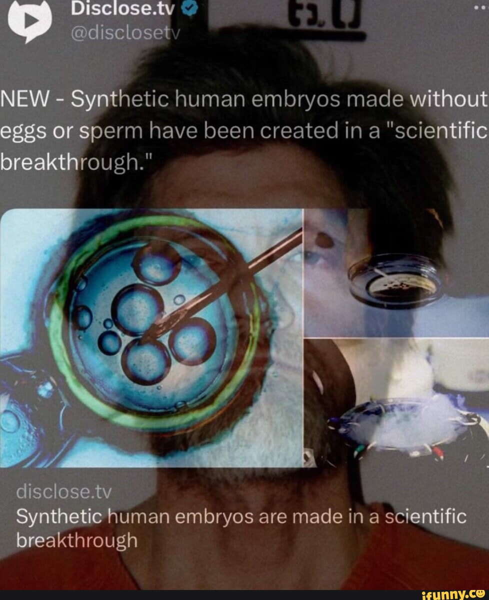 Dsc memes. Best Collection of funny Dsc pictures on iFunny