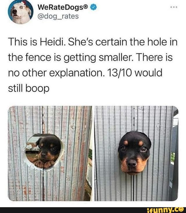 Artist: Emko stone - Artist: Emko stone - )