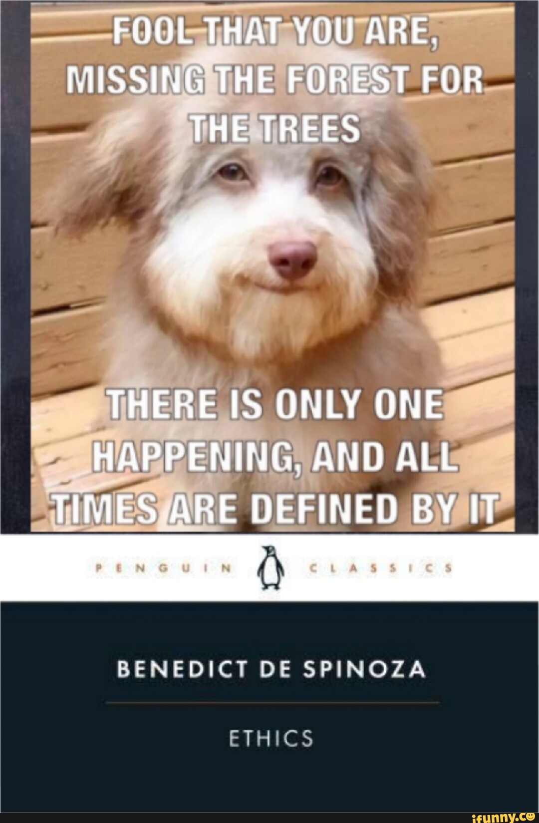 Spinoza memes. Best Collection of funny Spinoza pictures on iFunny