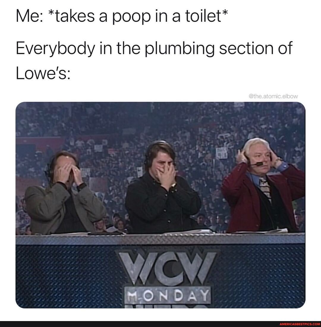 Me: *takes a poop in a toilet* Everybody in the plumbing section of ...