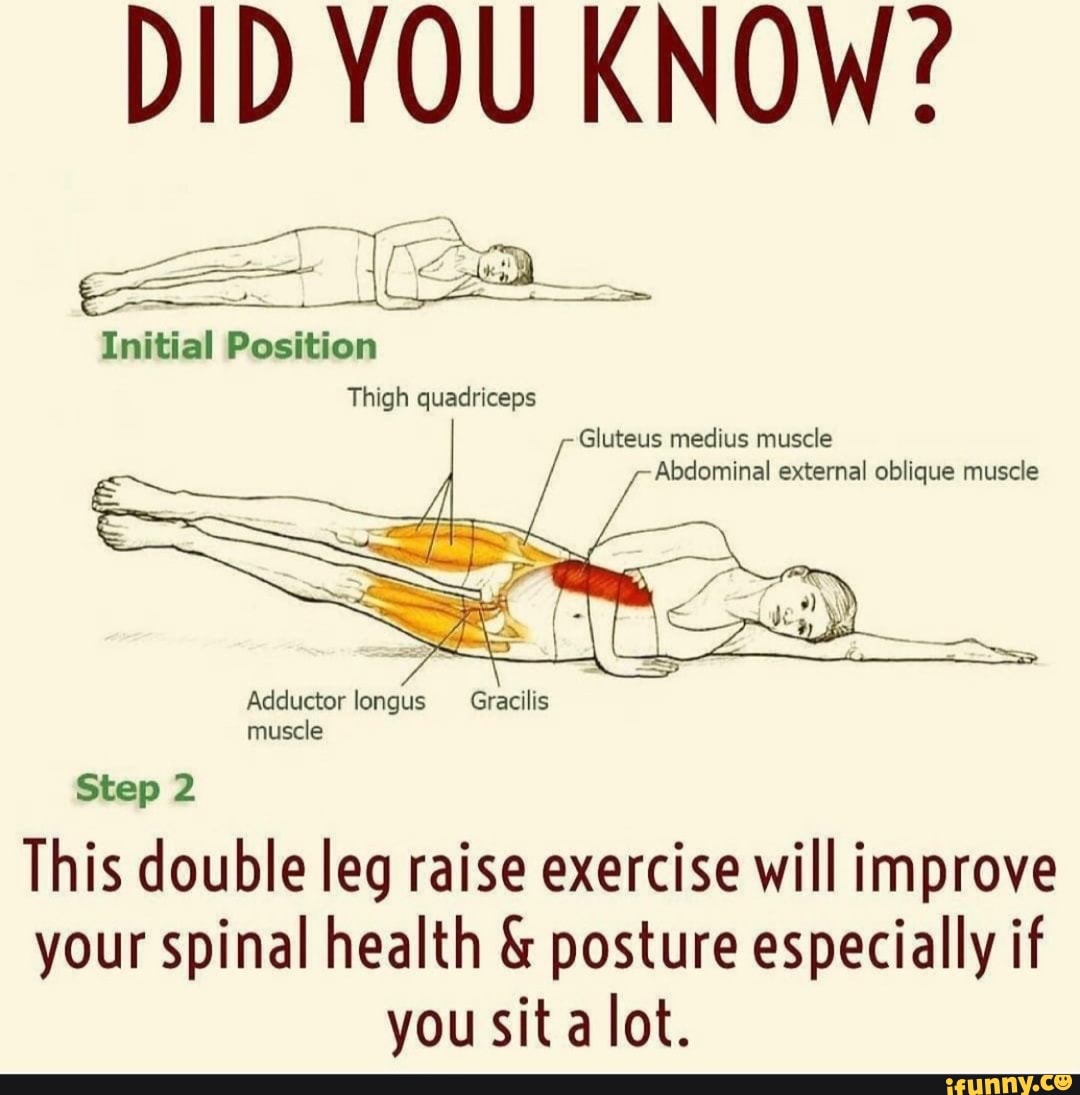DID YOU KNOW? Initial Position Thigh quadriceps Gluteus medius muscle ...