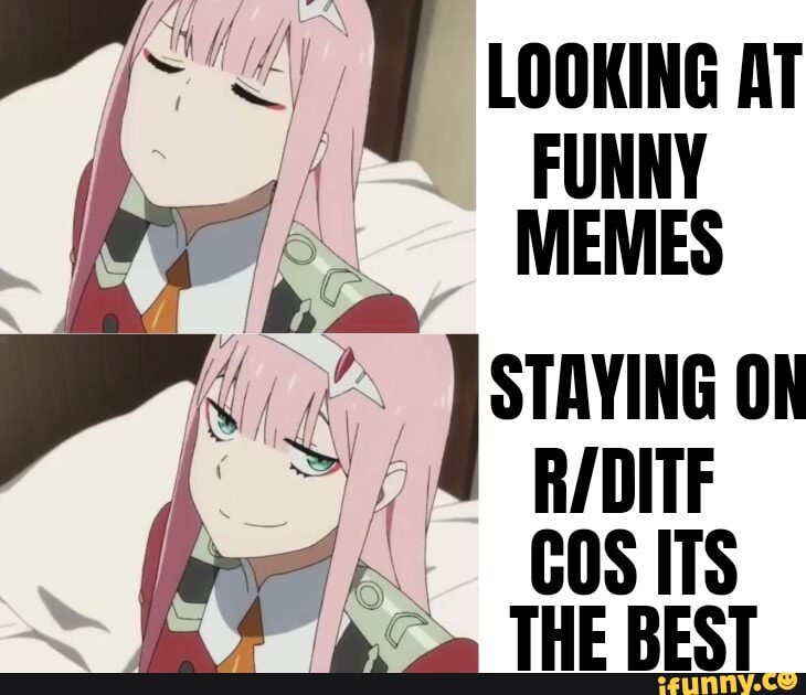 LOOKING AT FUNNY MEMES ON COS ITS - iFunny