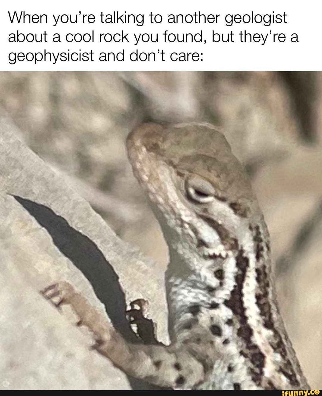 Geophysicist memes. Best Collection of funny Geophysicist pictures on ...