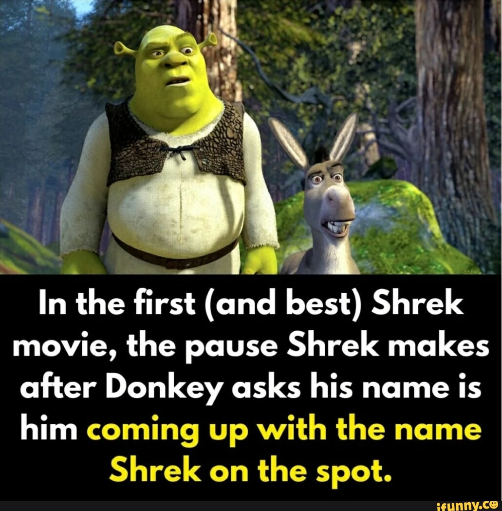 In the first (and best) Shrek movie, the pause Shrek makes after Donkey ...