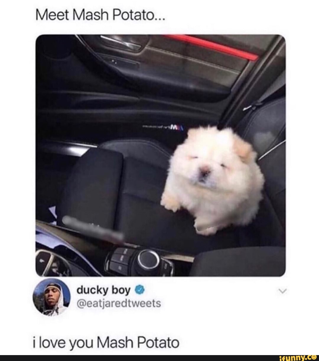 Meet Mash Potato... i love you Mash Potato - iFunny