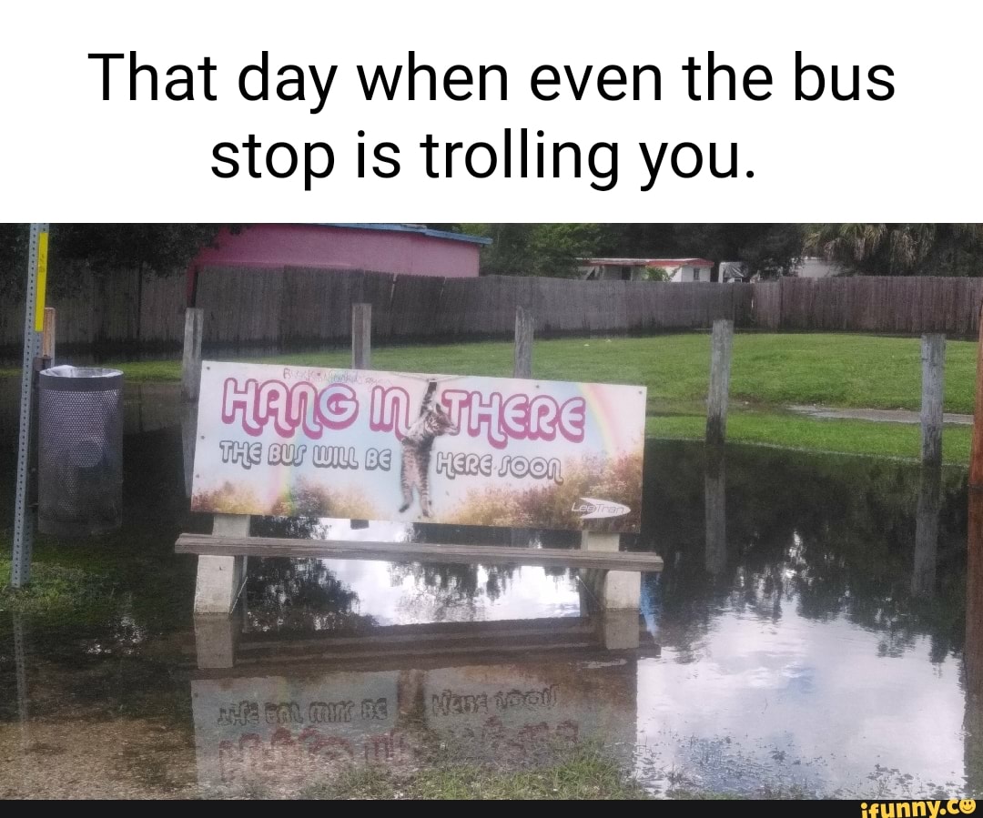 That day when even the bus stop is trolling you. - iFunny