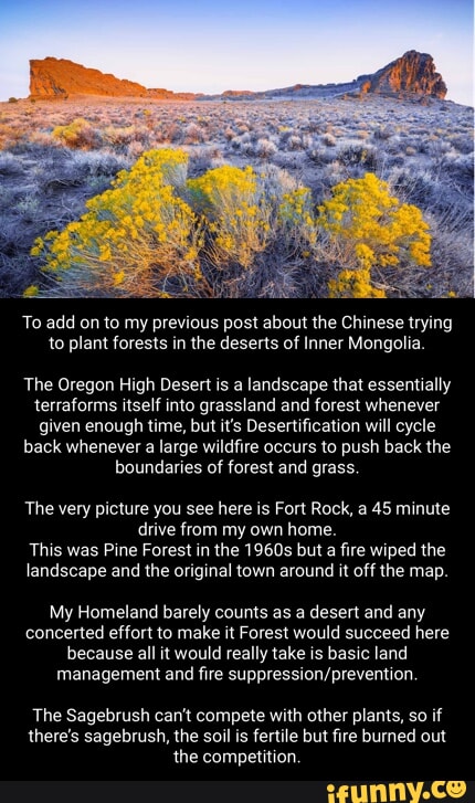 Grassland memes. Best Collection of funny Grassland pictures on iFunny