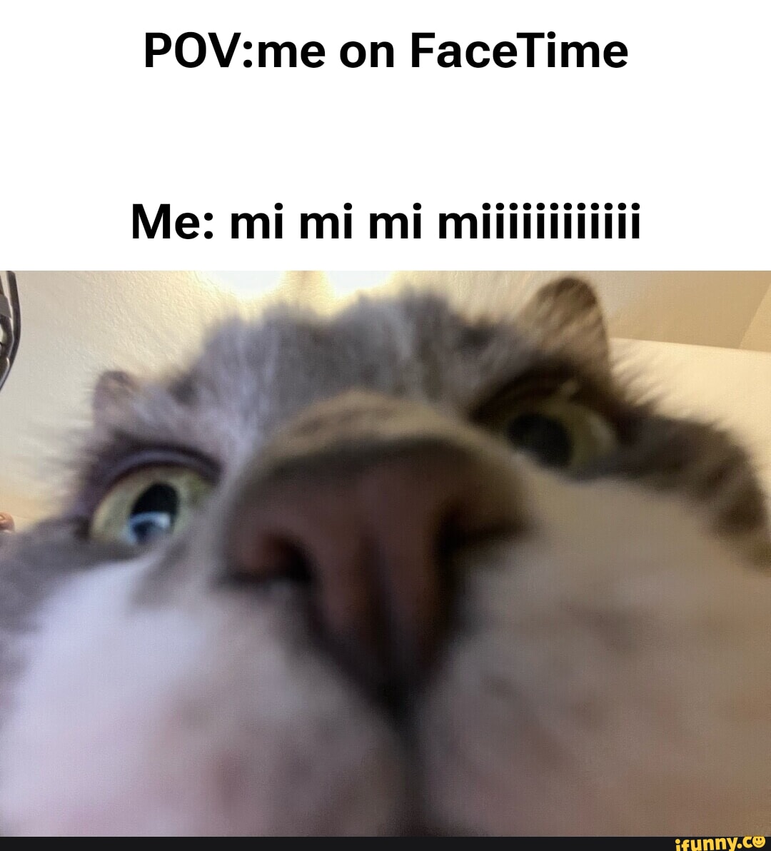 Facetime memes. Best Collection of funny Facetime pictures on iFunny