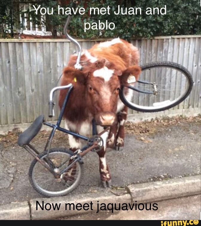 Jaquavious memes. Best Collection of funny Jaquavious pictures on iFunny