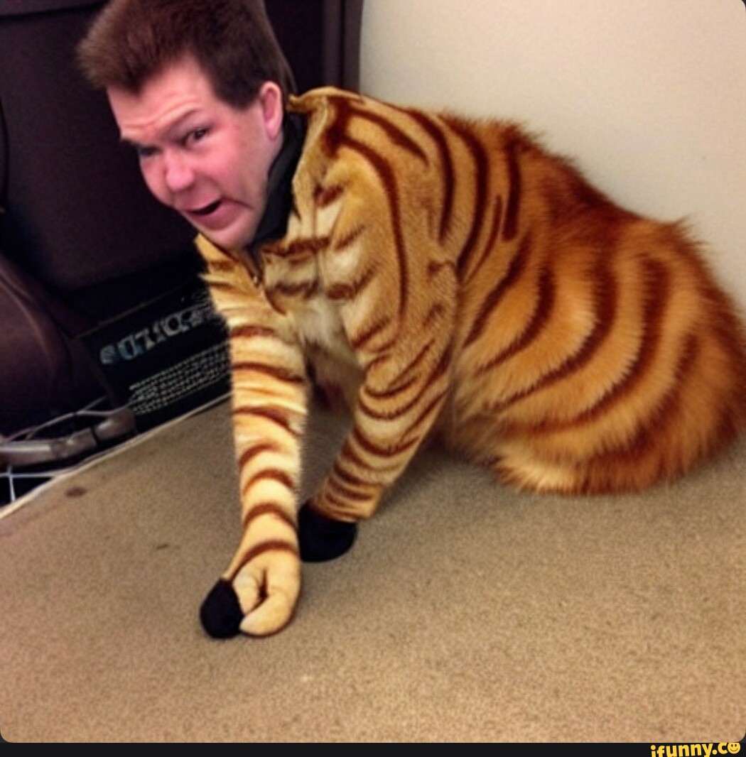 Garfeild memes. Best Collection of funny Garfeild pictures on iFunny