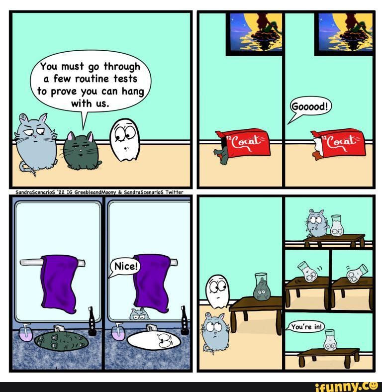 Initation memes. Best Collection of funny Initation pictures on iFunny