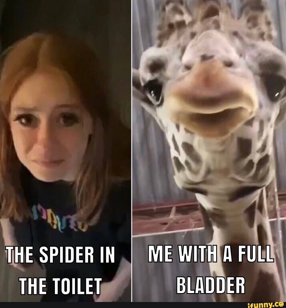 We THE SPIDER IN I ME WITH A FULL THE TOILET BLADDER - iFunny