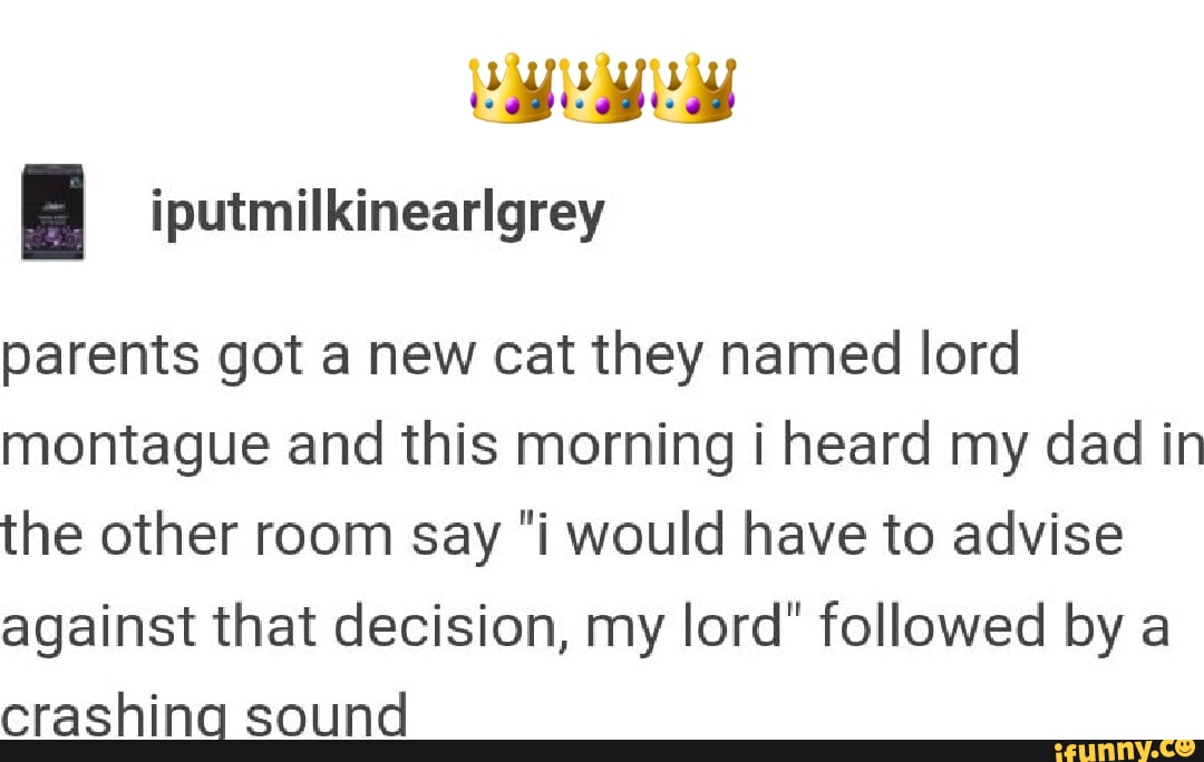 Iputmilkinearlgrey parents got a new cat they named lord montague and ...