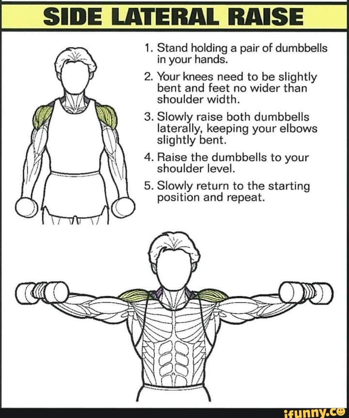 Standing Side Lateral Dumbbell Raises Standing Side Lateral Dumbbell Raises