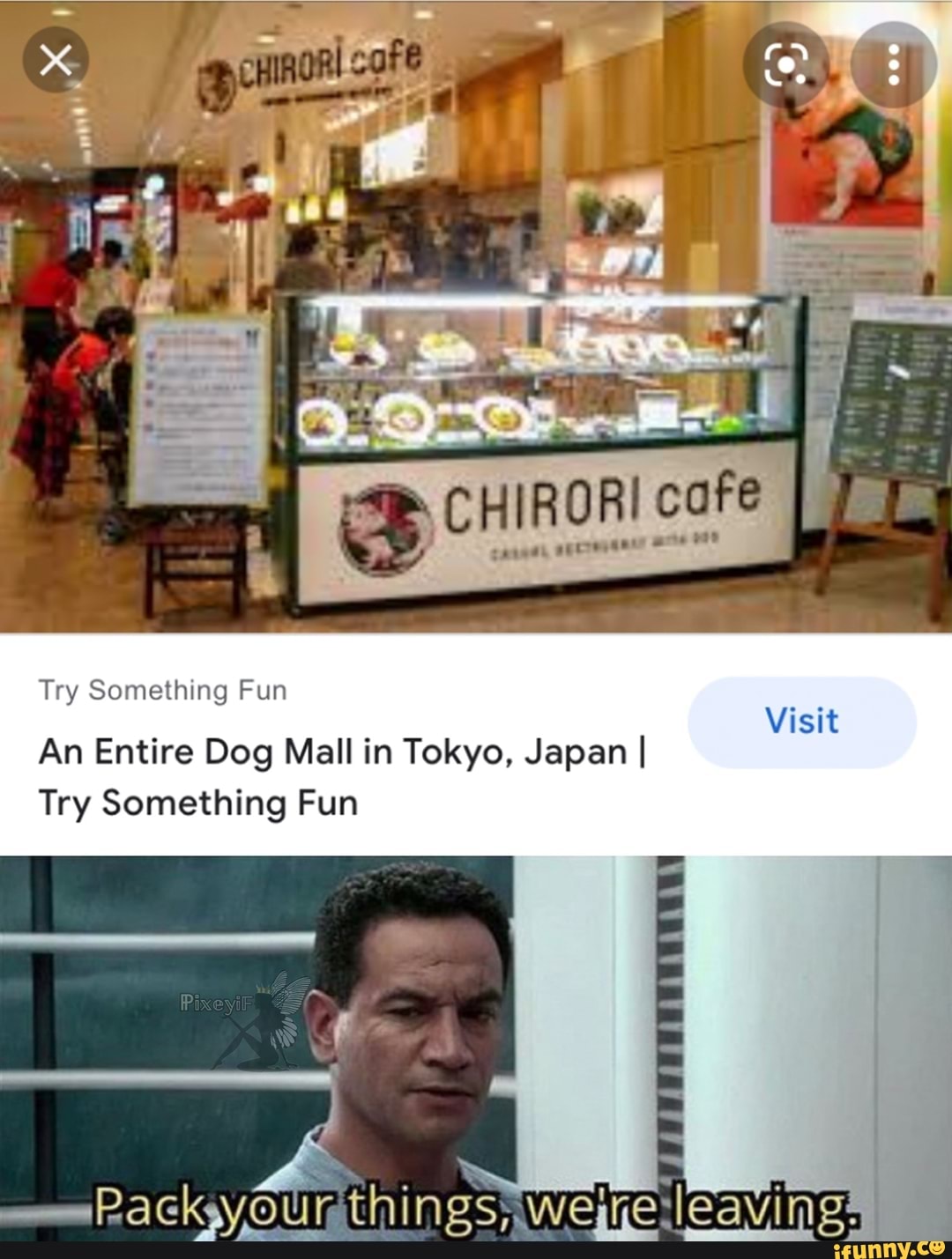 Al Try Something Fun Visit An Entire Dog Mall in Tokyo, Japan I Try ...