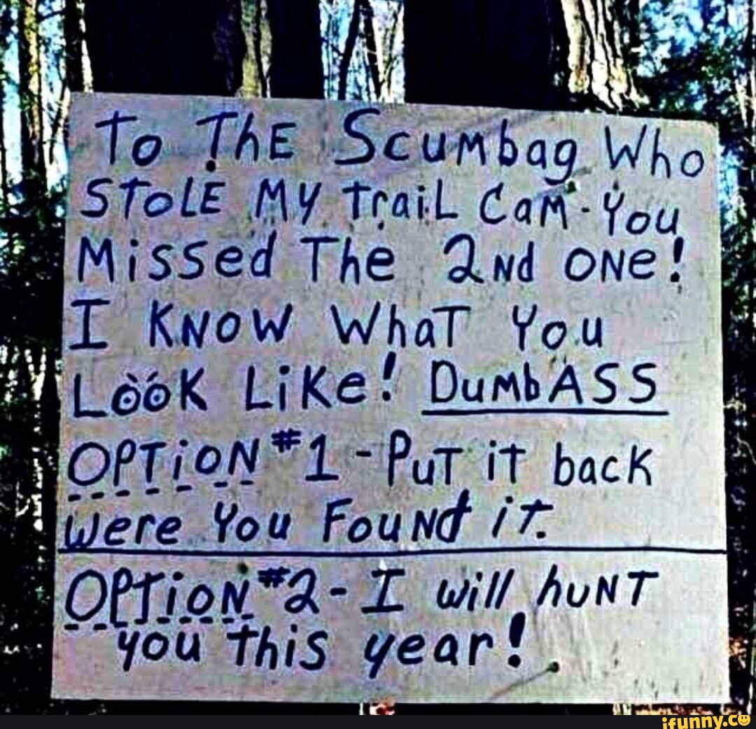 Each year in an Australian park, hundreds of people bring their ...