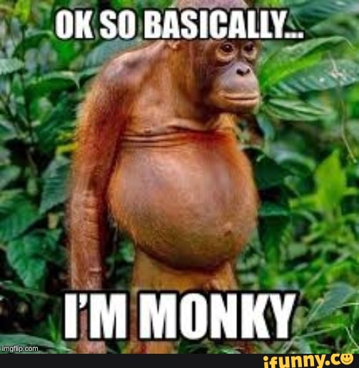 OK SO BASICALLY... I'M MONKY - iFunny