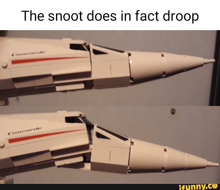 The snoot does in fact droop - iFunny