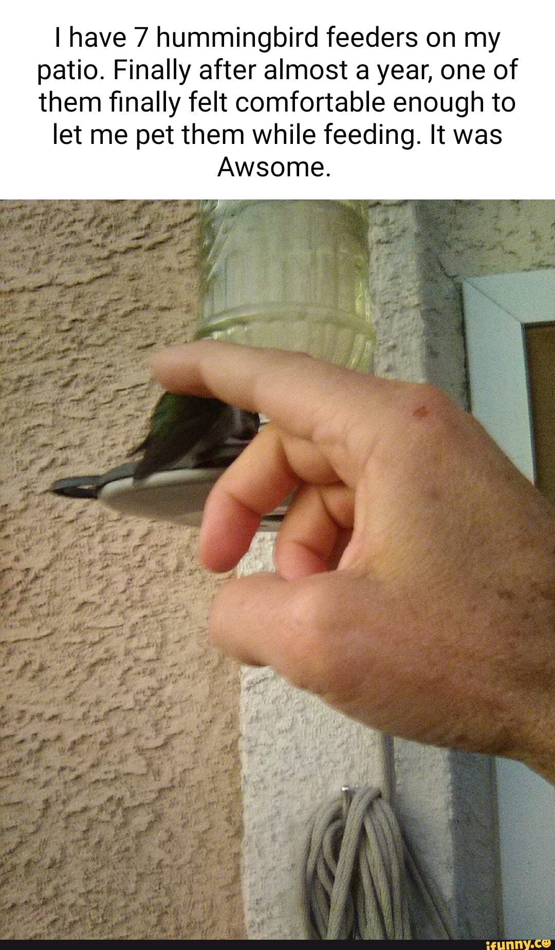 Patio memes. Best Collection of funny Patio pictures on iFunny