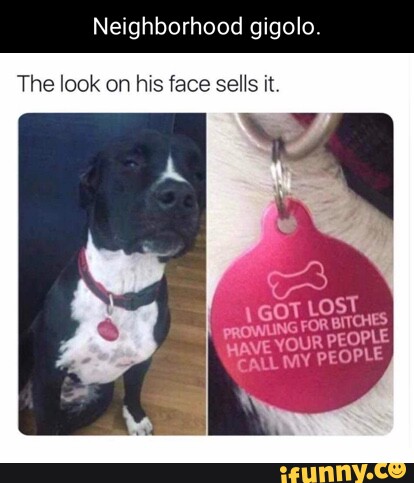Neighborhood gigolo. The look on his face sells it. HAVE YOUR PEOPLE ...