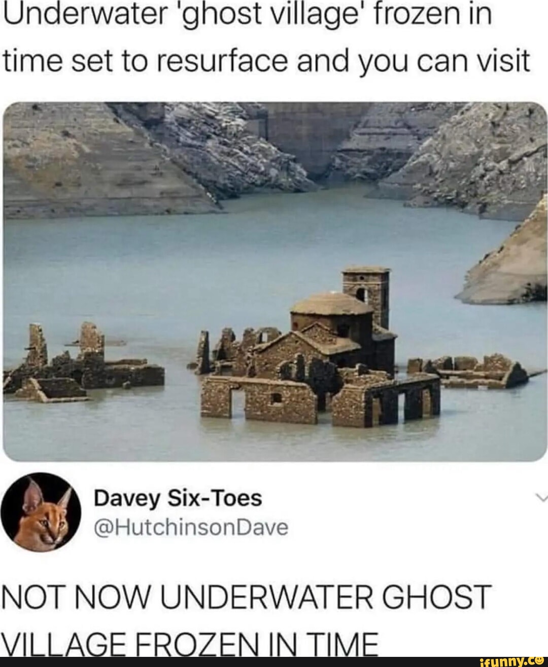 Davey memes. Best Collection of funny Davey pictures on iFunny