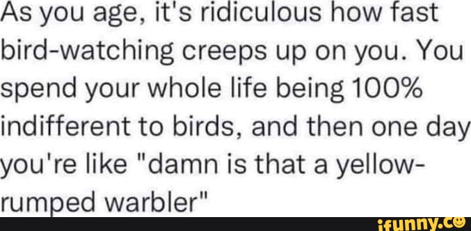 Warbler memes. Best Collection of funny Warbler pictures on iFunny