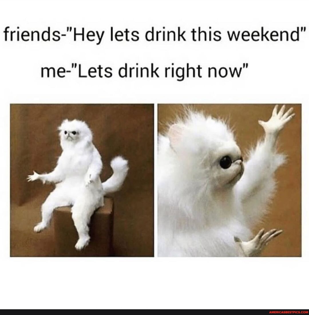 Follow the hilarious @TheBasicGayDrunk for more hilarious memes! - lets drink this weekend ...