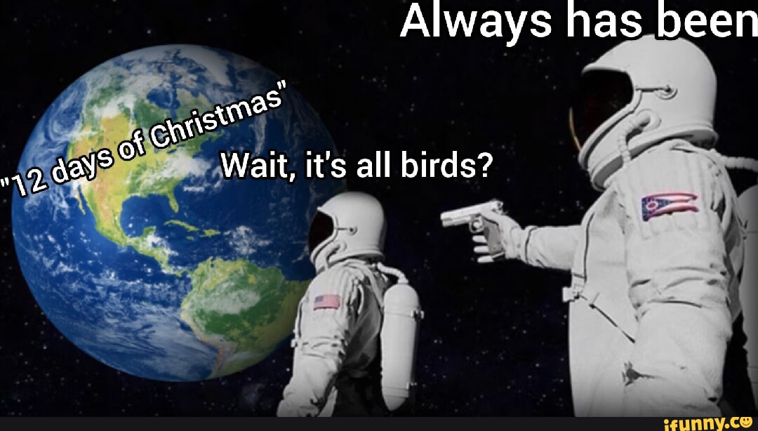 Always has been Wait, it's all birds? - iFunny
