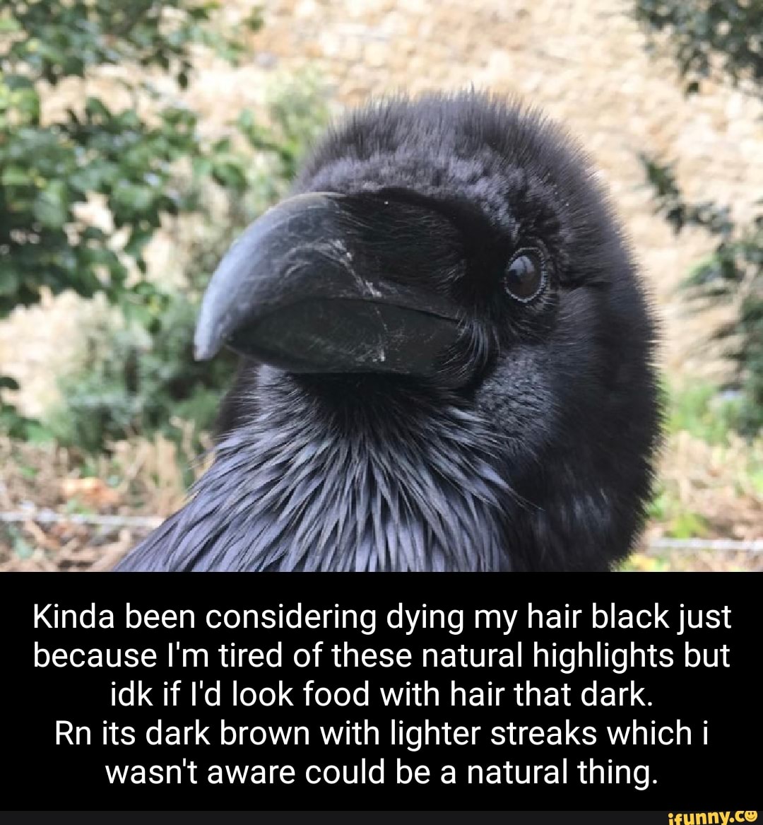 Streaks memes. Best Collection of funny Streaks pictures on iFunny